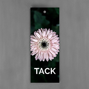 Kalas & Fest | Mixin